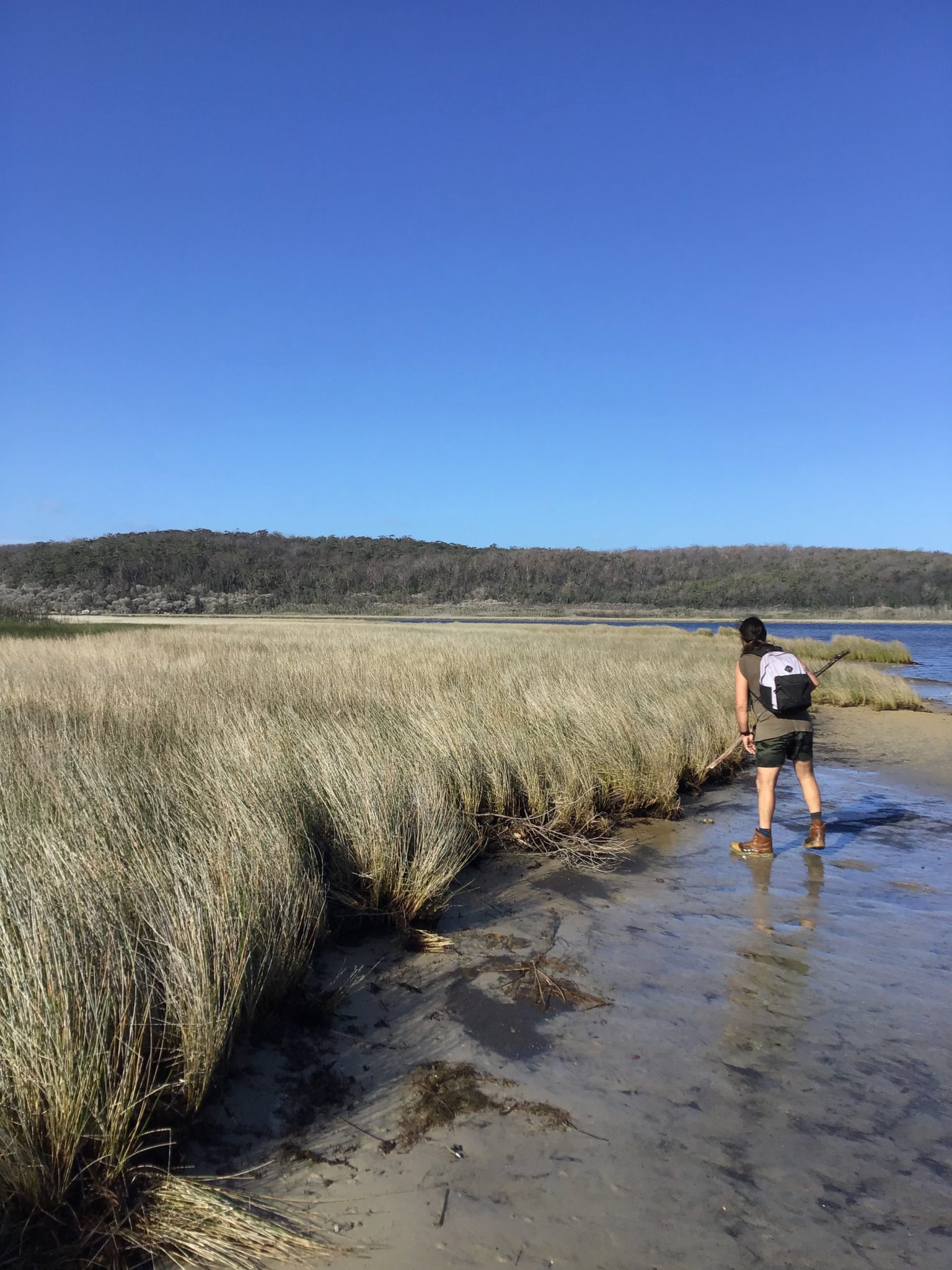 Ngarigo Monero | East Gippsland Regional Catchment Strategy